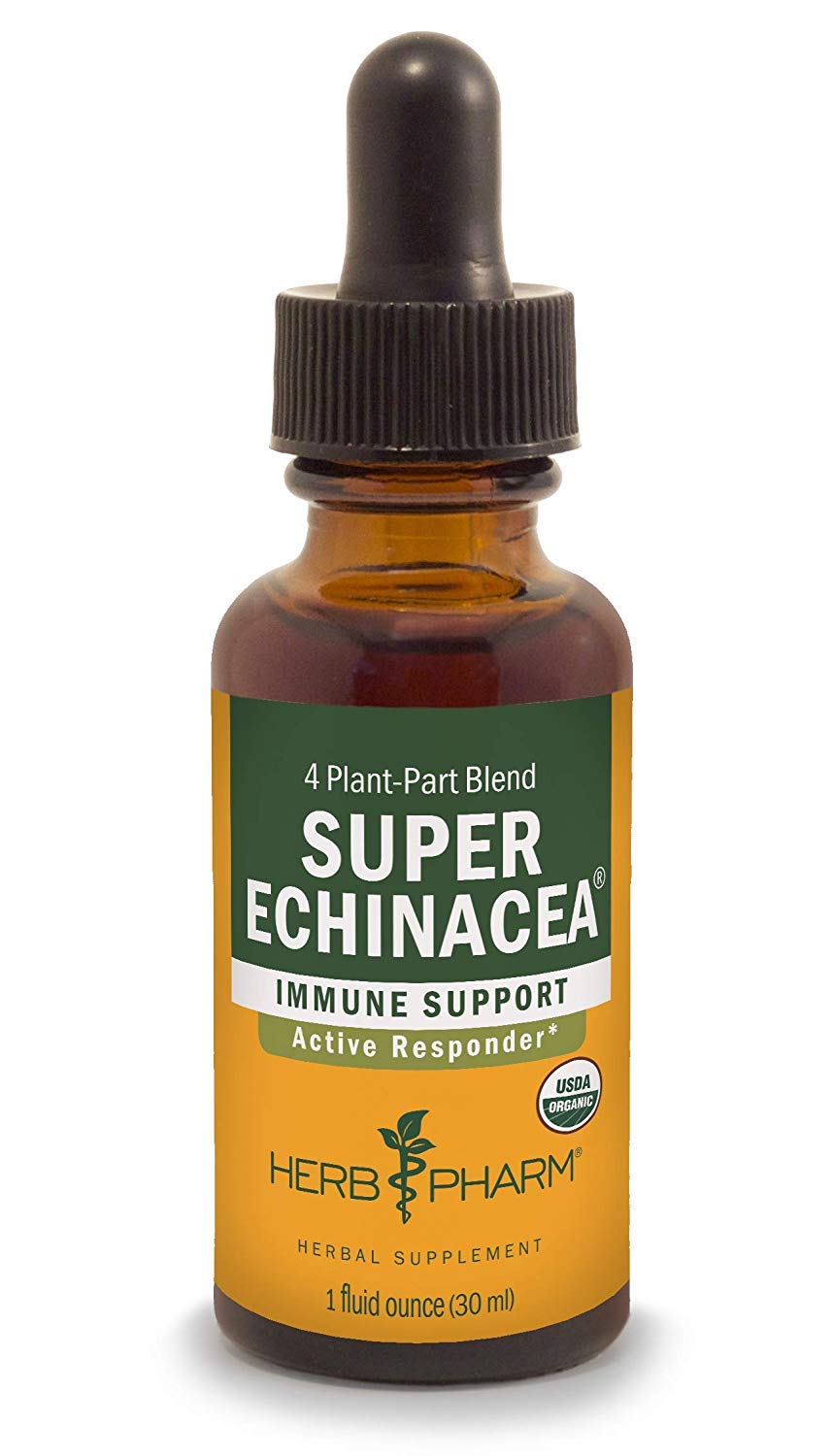 Echinacea extract for immune health