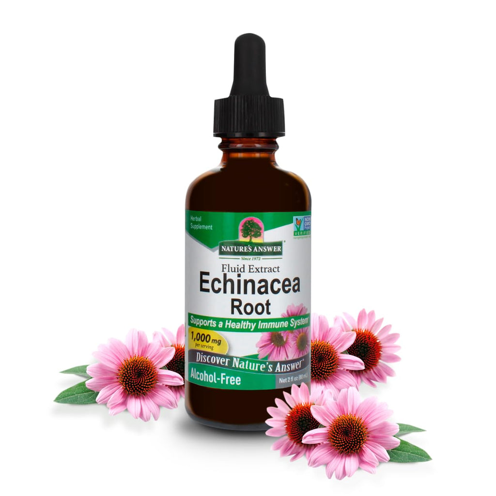 echinacea extract for immune support