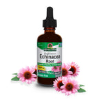 echinacea extract for immune support