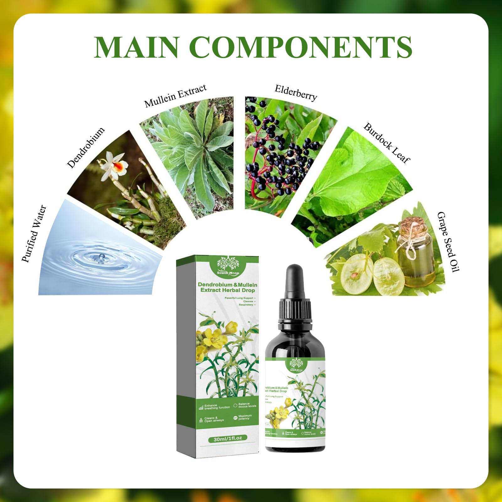 Echinacea extract for immune system boost