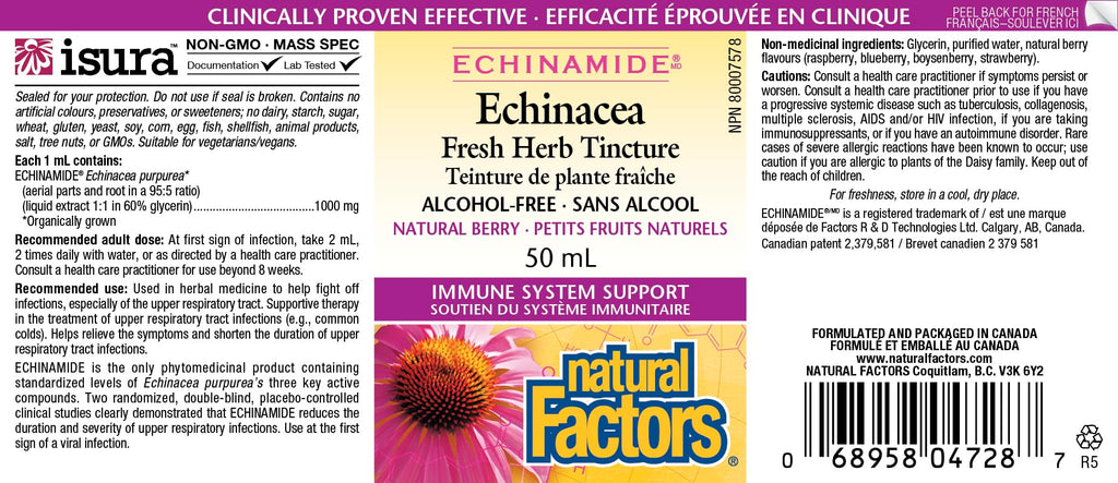 echinacea extract for seasonal health