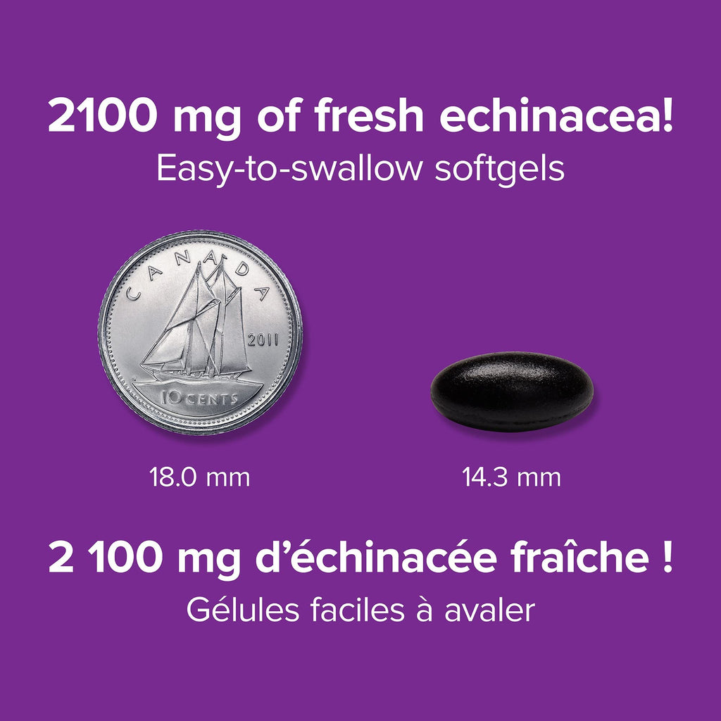 echinacea extract for seasonal health