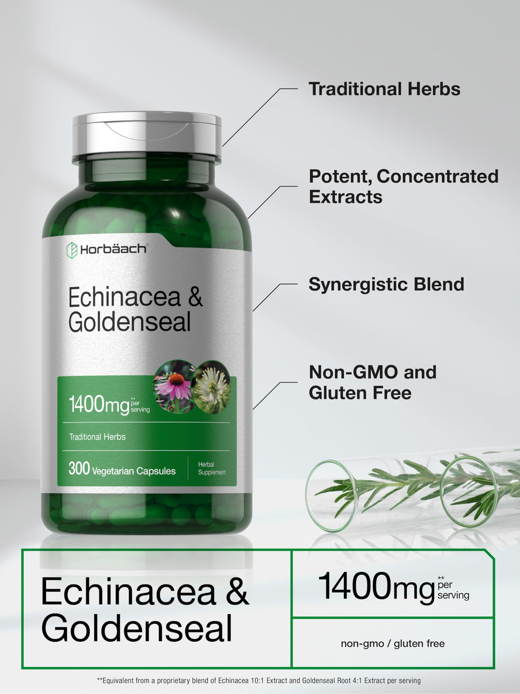 Echinacea extract for seasonal support
