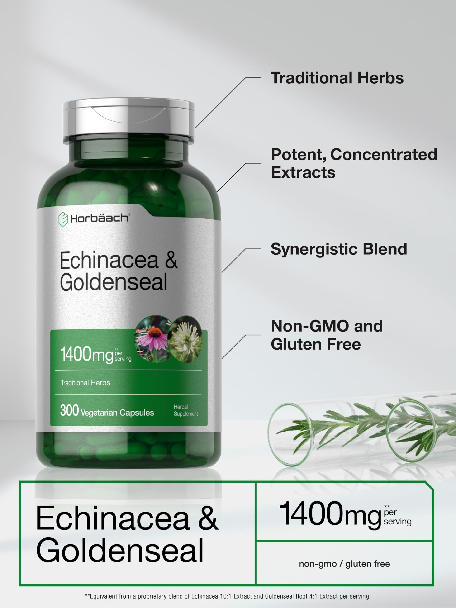 Echinacea extract for seasonal support