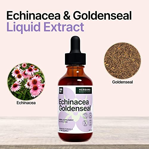 Echinacea extract for seasonal support