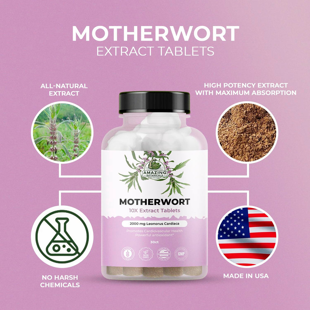 echinacea extract for seasonal wellness