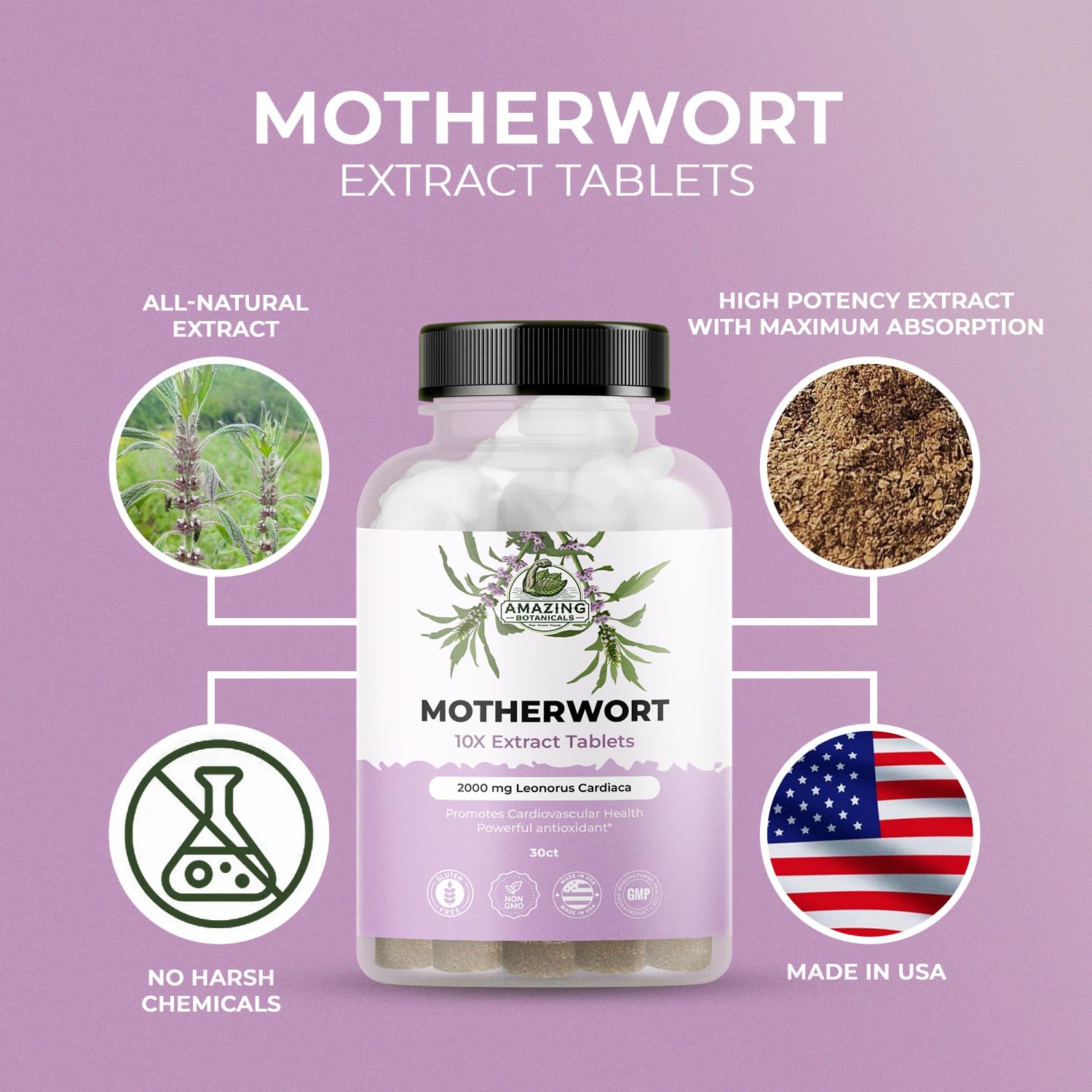 echinacea extract for seasonal wellness