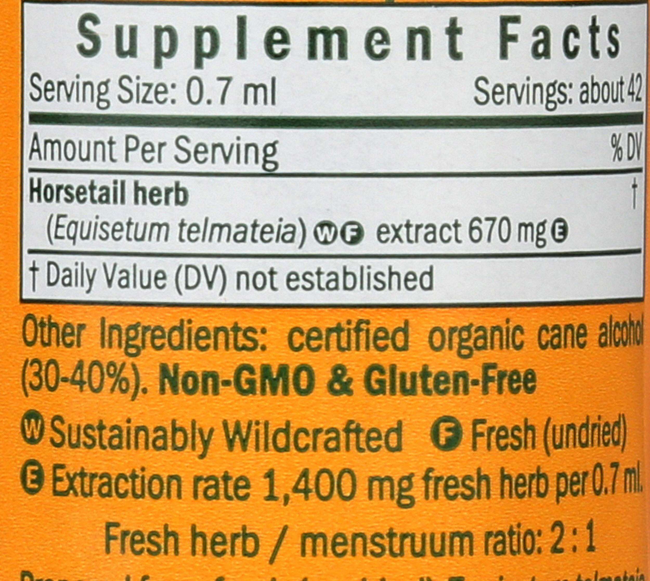 Echinacea extract for seasonal wellness