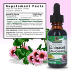 Echinacea extract for seasonal wellness