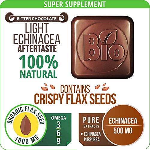 Echinacea extract for seasonal wellness
