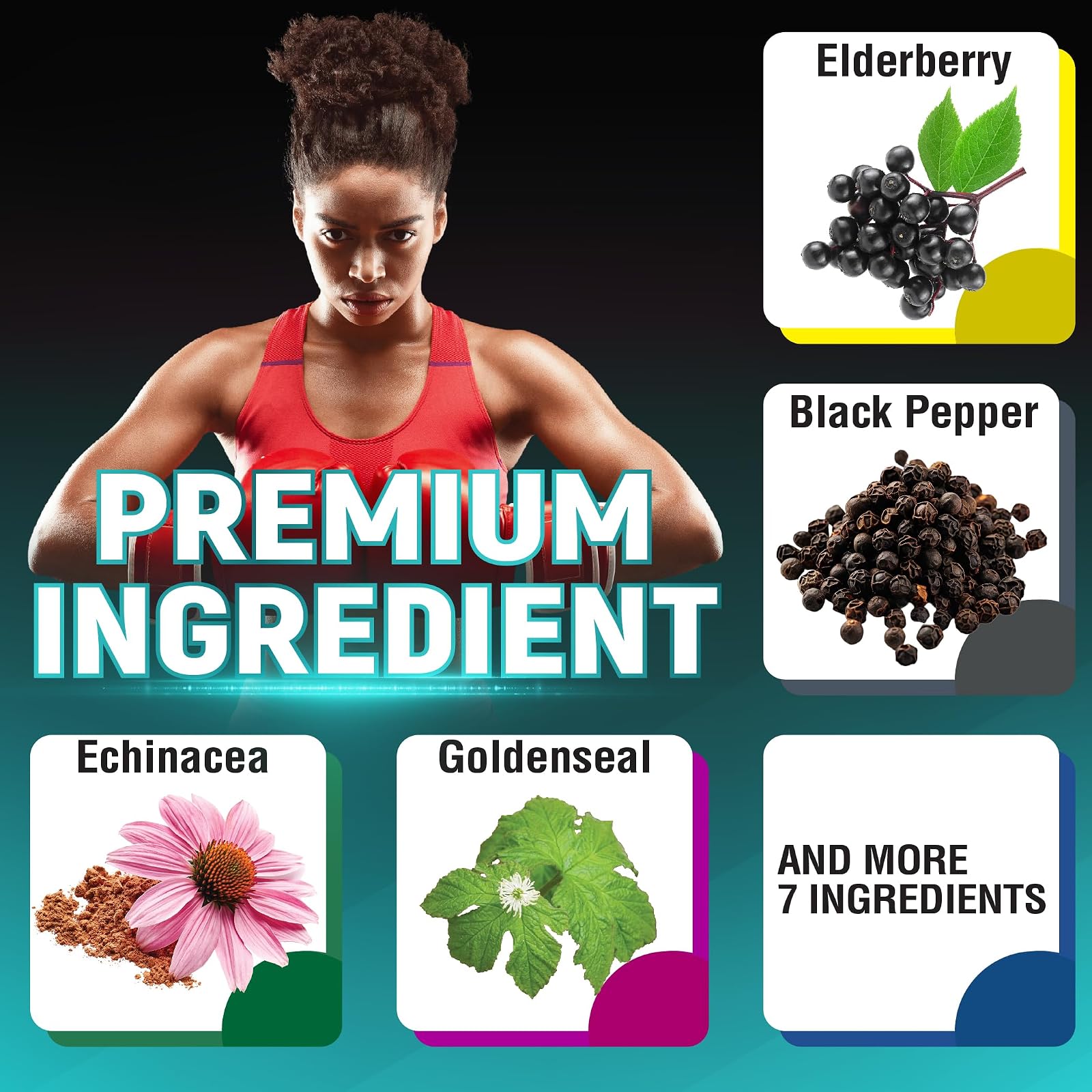 Echinacea extract for seasonal wellness