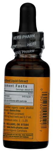 Echinacea extract for vitality
