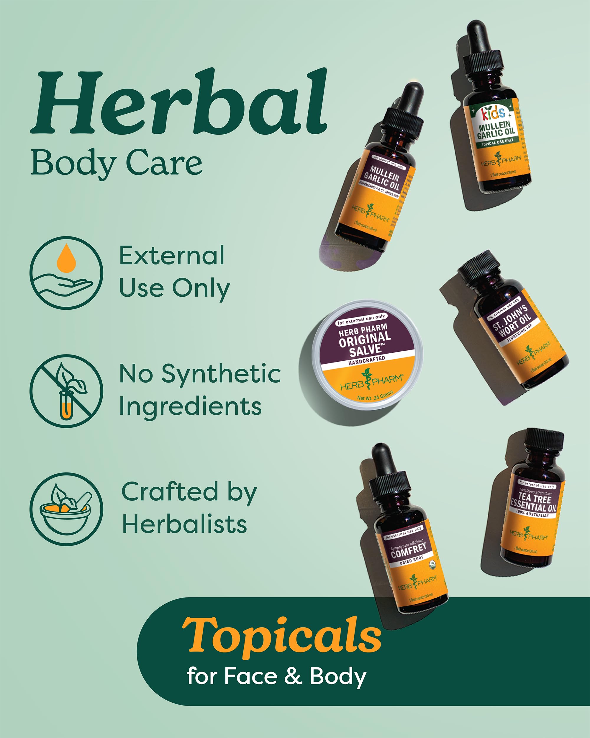 echinacea extract for wellness support