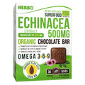 Echinacea extract immune support benefits
