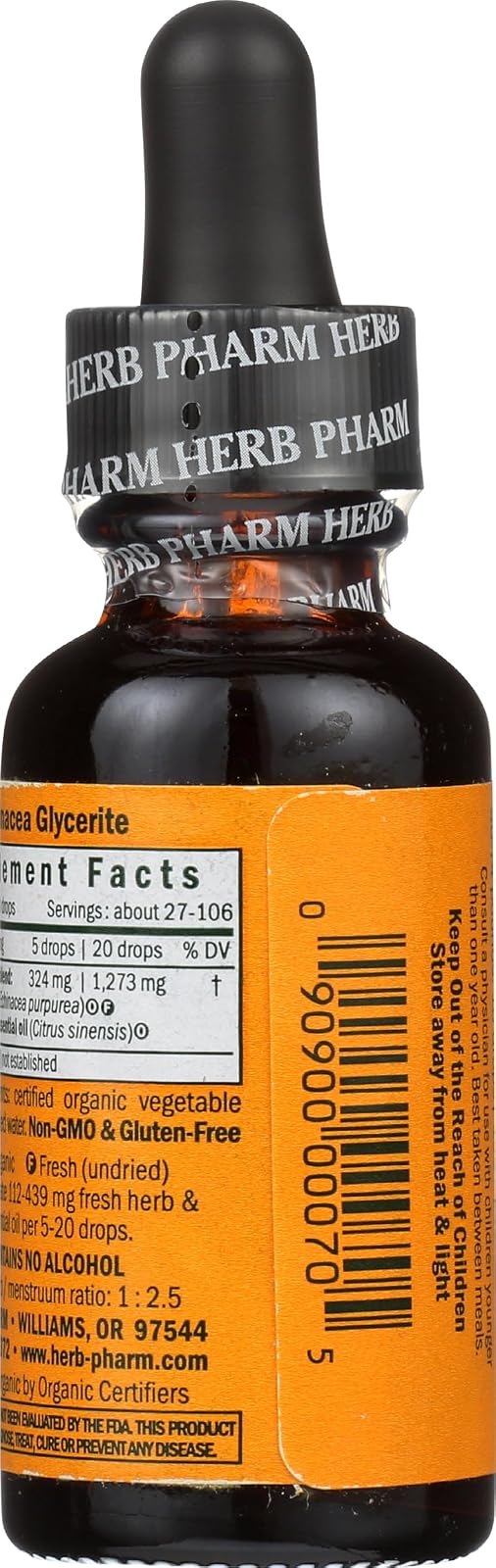 echinacea for cold relief