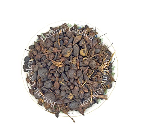 echinacea for daily health benefits