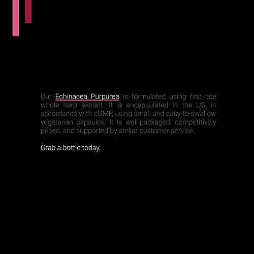 Echinacea for daily health routine