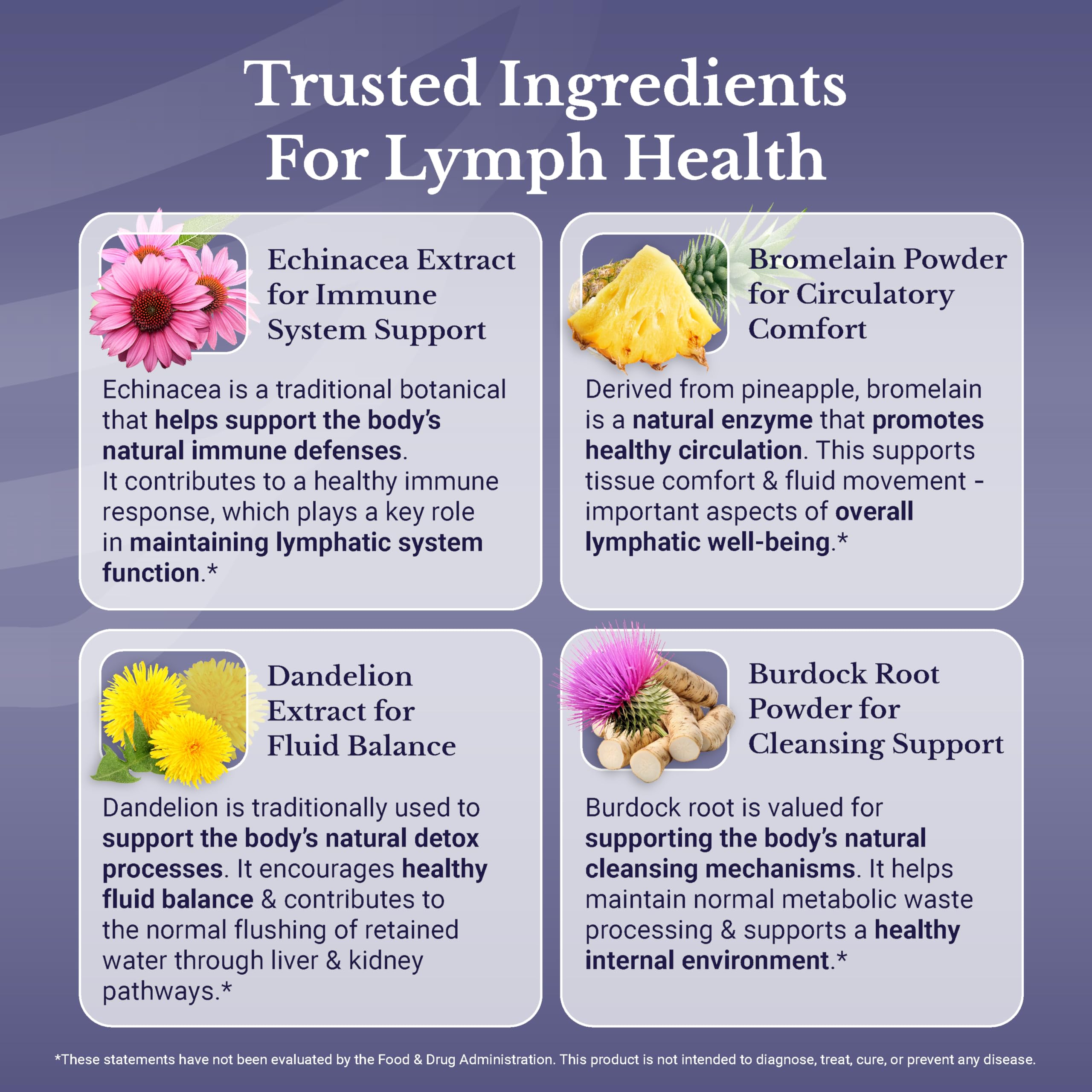Echinacea for enhanced immune function