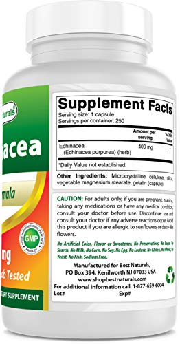 Echinacea for enhanced immune function