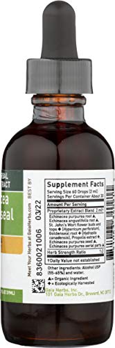 Echinacea for enhanced immune function