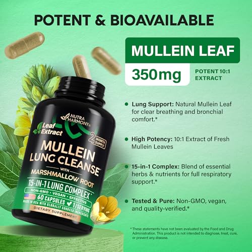 echinacea for enhanced immune support