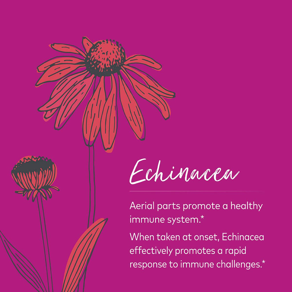 Echinacea for enhanced wellness