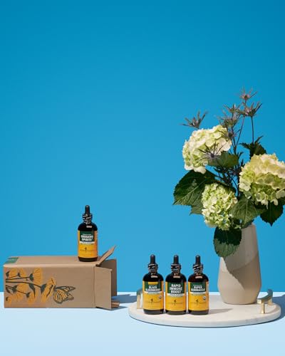 echinacea for everyday health support
