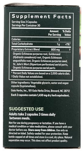 Echinacea for everyday health support