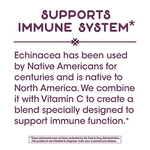 echinacea for everyday immune boost
