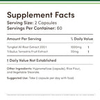Echinacea for immune support benefits