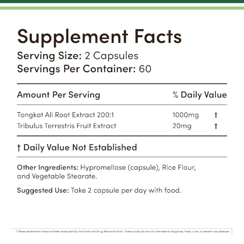 Echinacea for immune support benefits