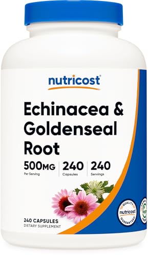 Echinacea for immune support health