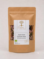 echinacea for immune support