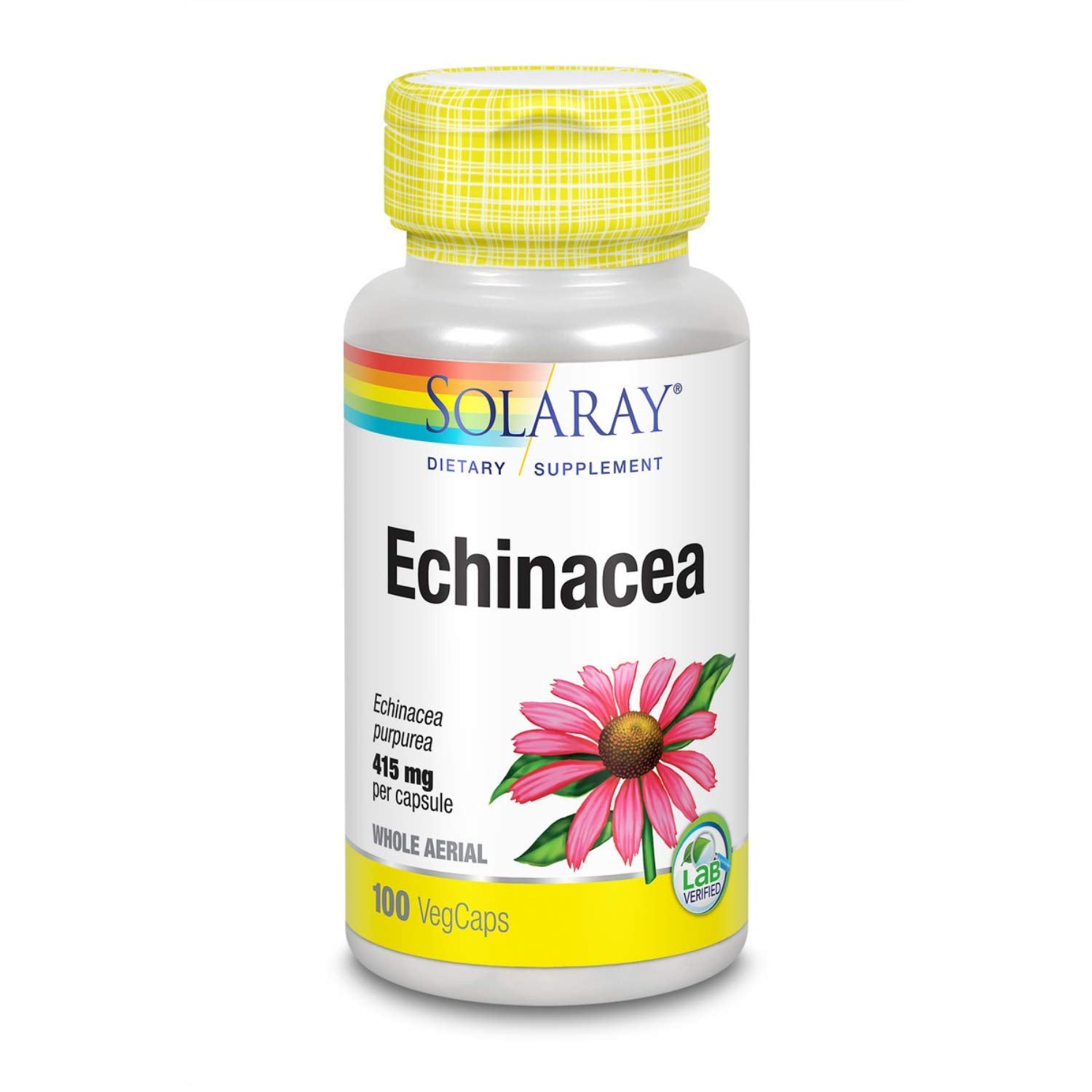 echinacea for immune support