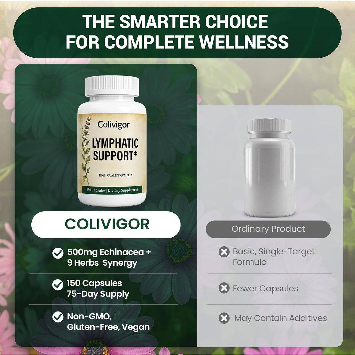 Echinacea for immune support