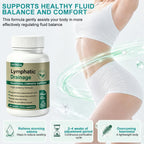 Echinacea for immune system health