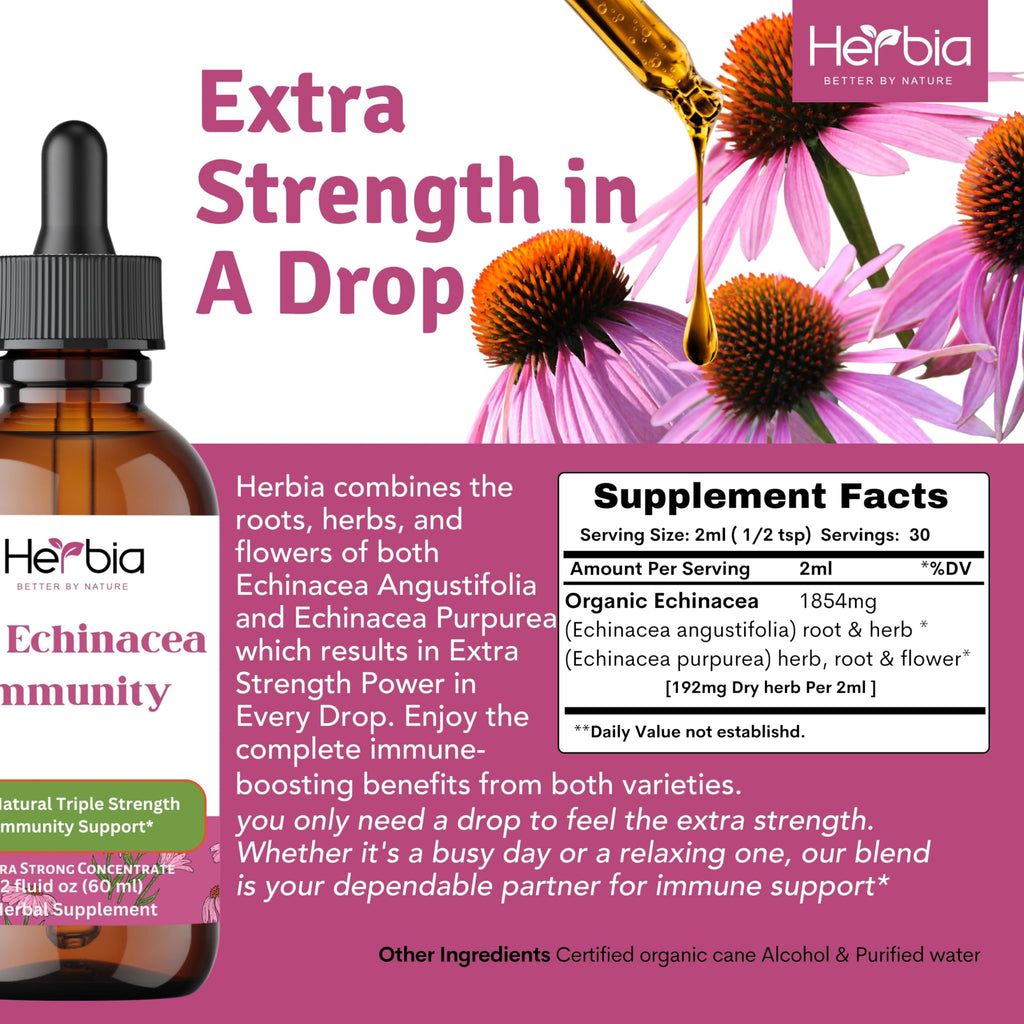 echinacea for immune system health