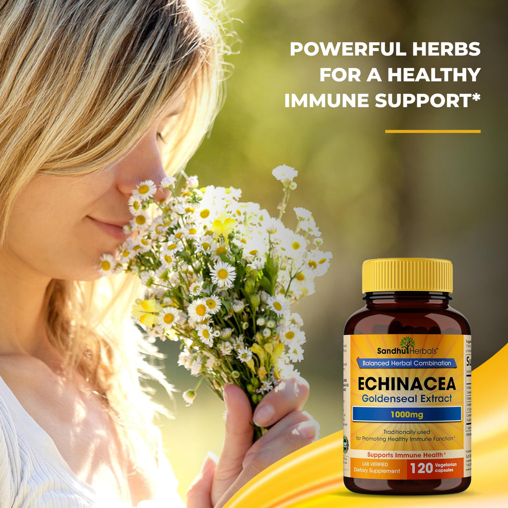 Echinacea for immune system strength
