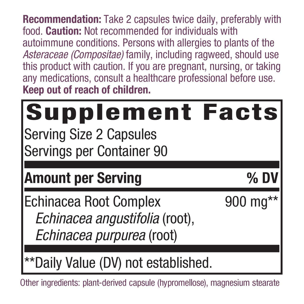Echinacea for immune system support