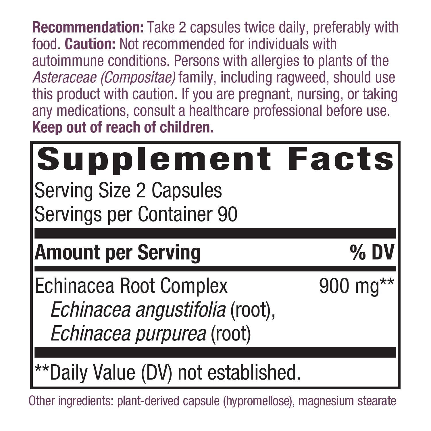 Echinacea for immune system support