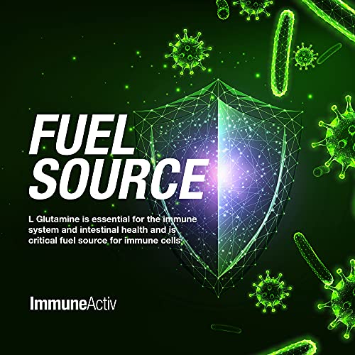 Echinacea for immune system support