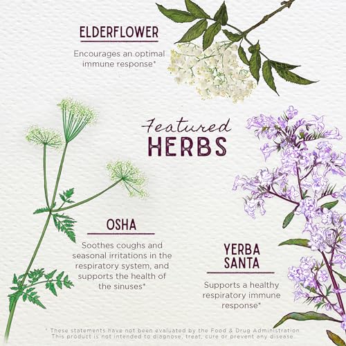 Echinacea for kids' wellness