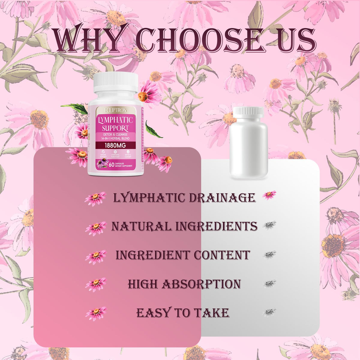 Echinacea for lymphatic health