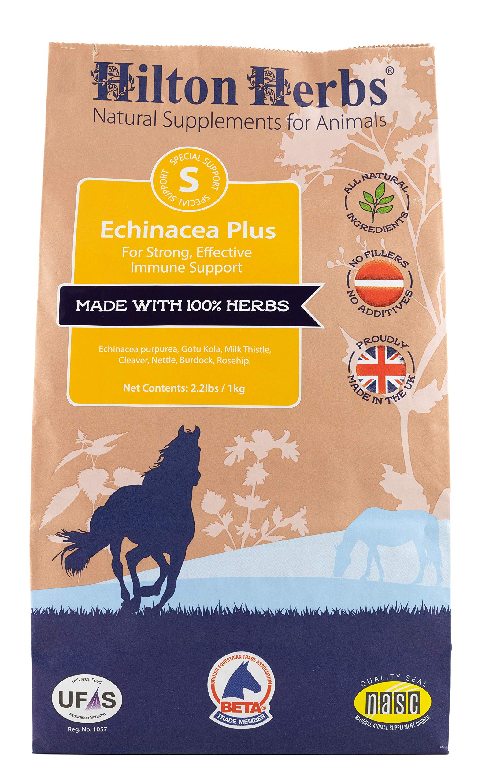 Echinacea for natural immunity support