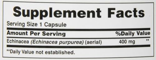 Echinacea for overall health benefits