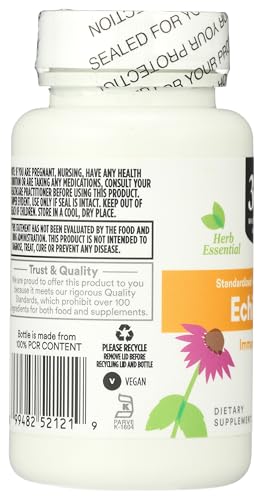 echinacea for overall health benefits