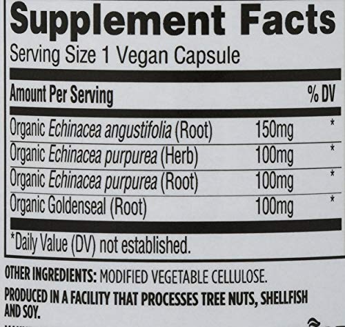 Echinacea for overall health improvement