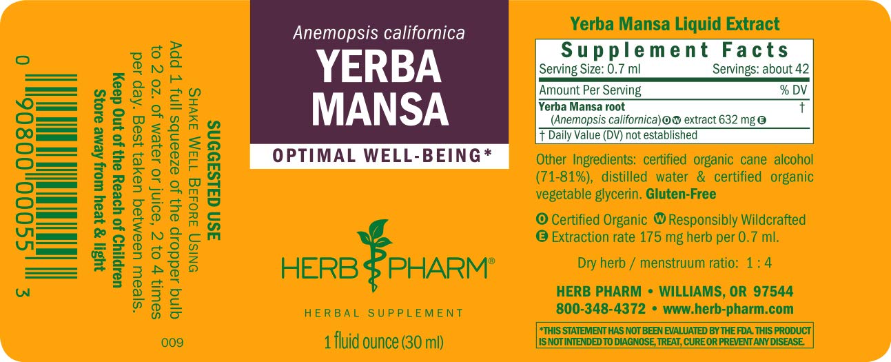 Echinacea for overall wellness