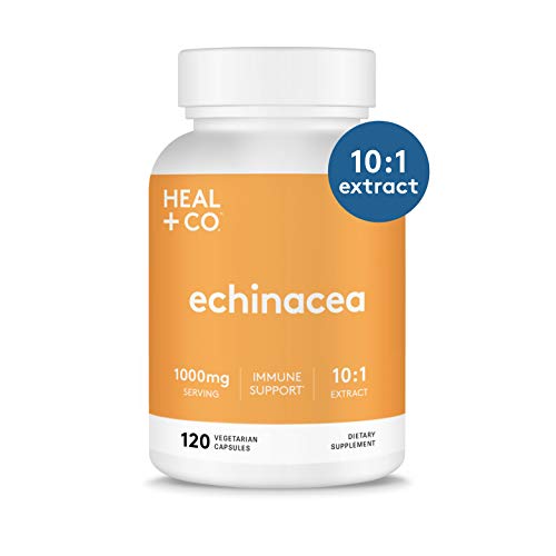 Echinacea for respiratory health support