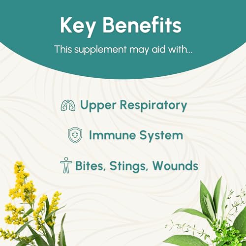 Echinacea for seasonal health benefits